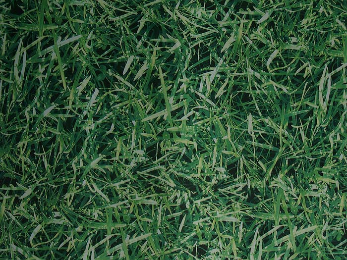 Highlands Grass Fabric - Grass Fabric