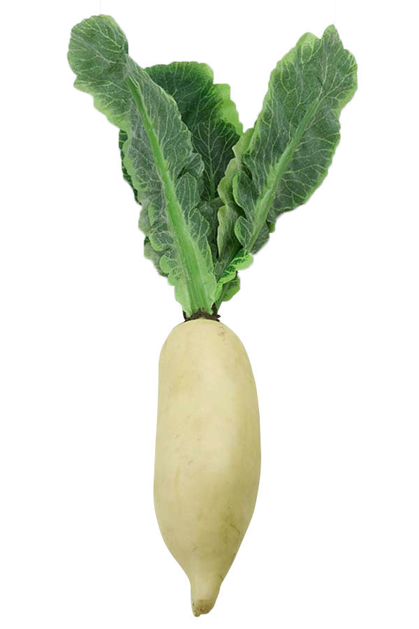 Mooli - Vegetables Salad