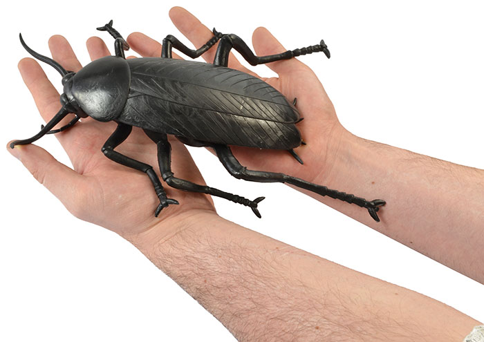 Giant Plastic Cockroach - Fake Insects Spiders