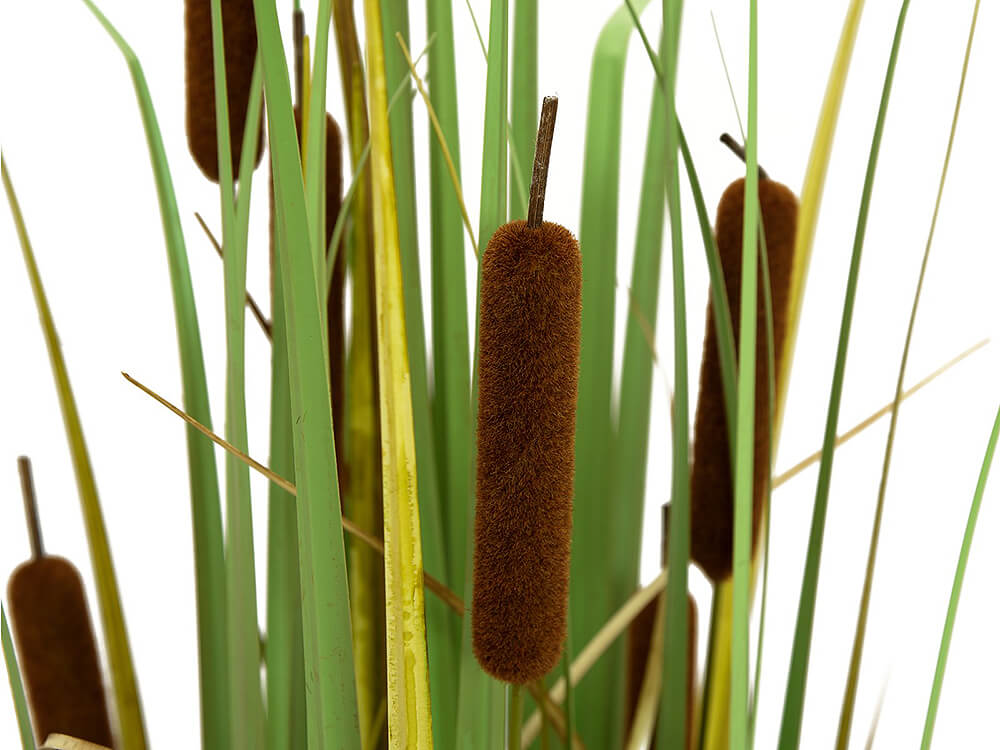 Bullrush in Pot 90cm - Artificial Plants